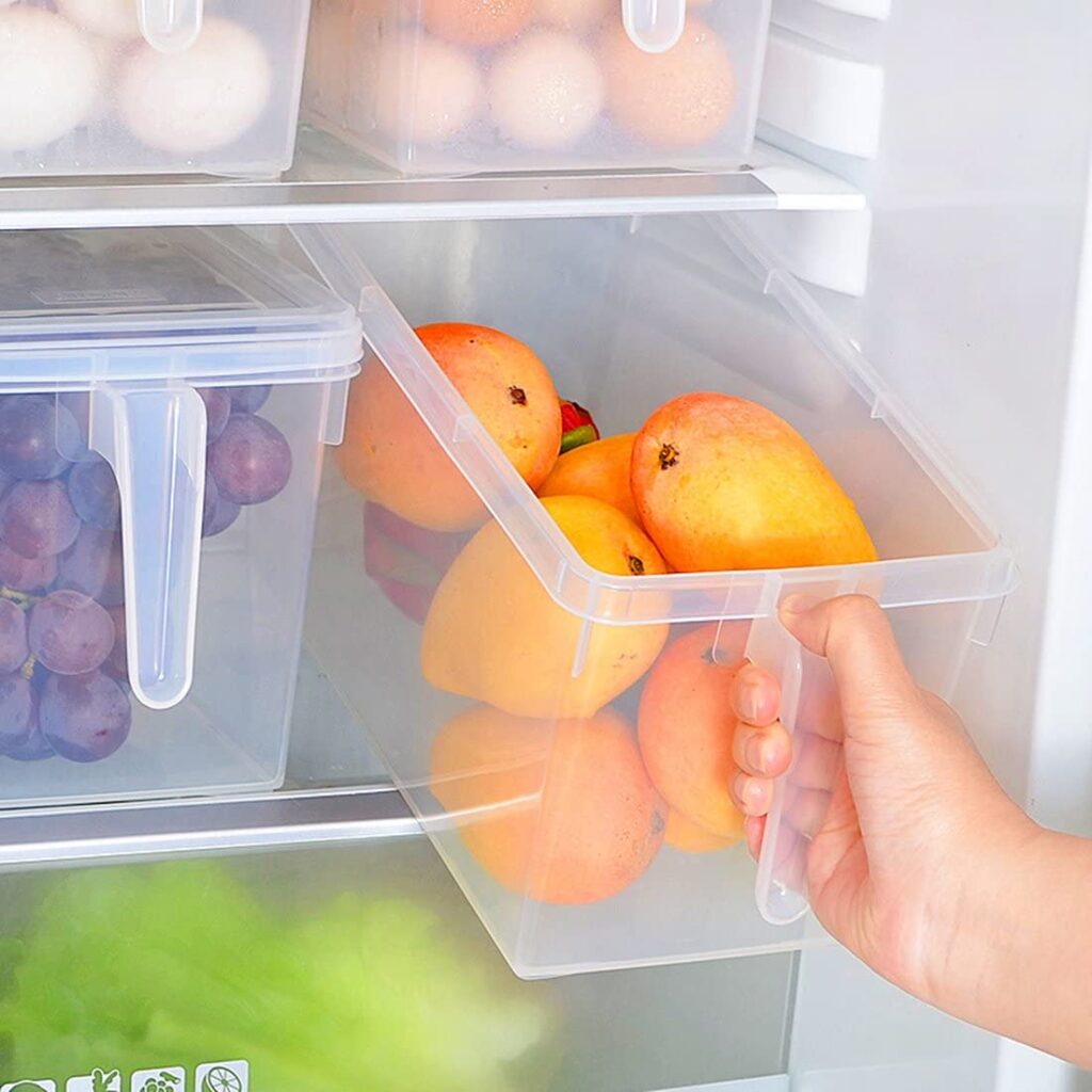 Kitchen Rack Shelf Storage Containers Refrigerator Freezer and Fridge ...